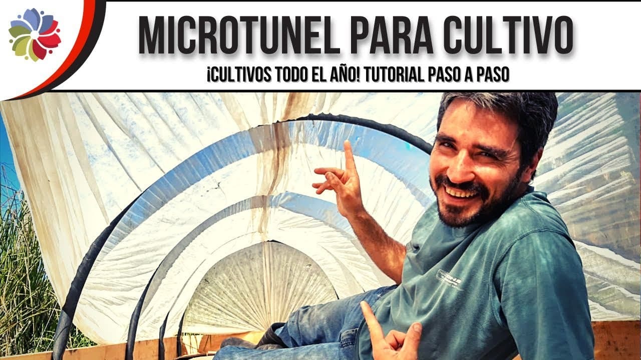 Cold months are approaching, build a microtunnel for your crops