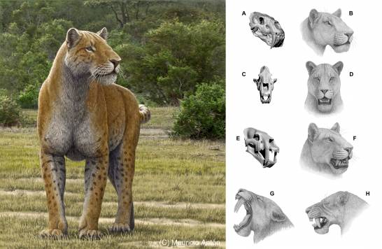 Some saber-toothed species hid their huge fangs by closing their mouths.