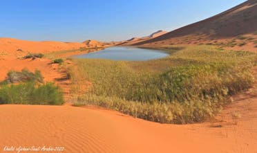 Saudi Arabia, the world's largest desert in the grip of cold winds ...