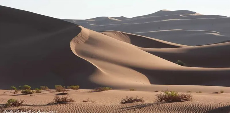 Saudi Arabia, the world's largest desert in the grip of cold winds ...
