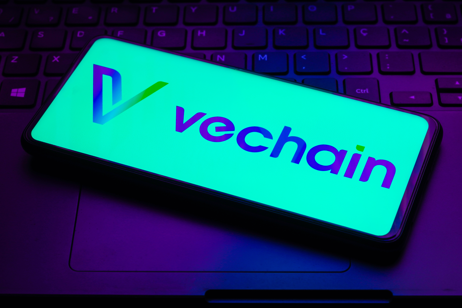 Why VeChain Is More Sustainable Than You Think