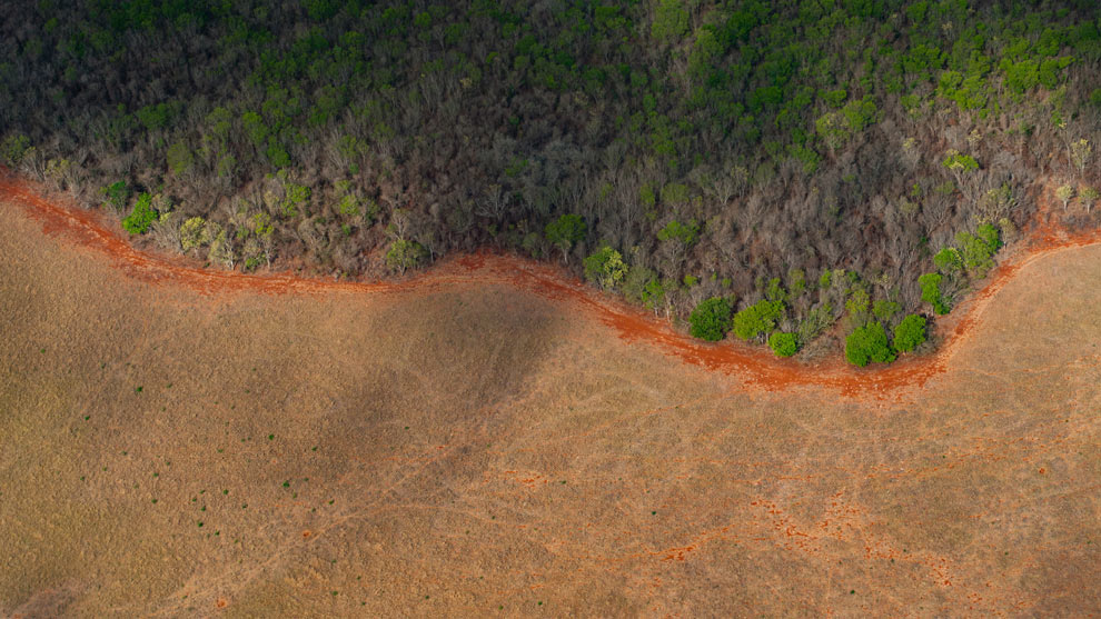 Change in land use, main threat to forests