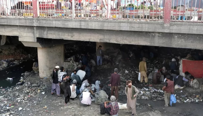 What the Taliban are doing by taking drug addicts off the streets