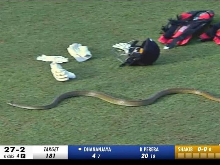 Watch: Snake enters stadium during Lanka Premier League match, video ...