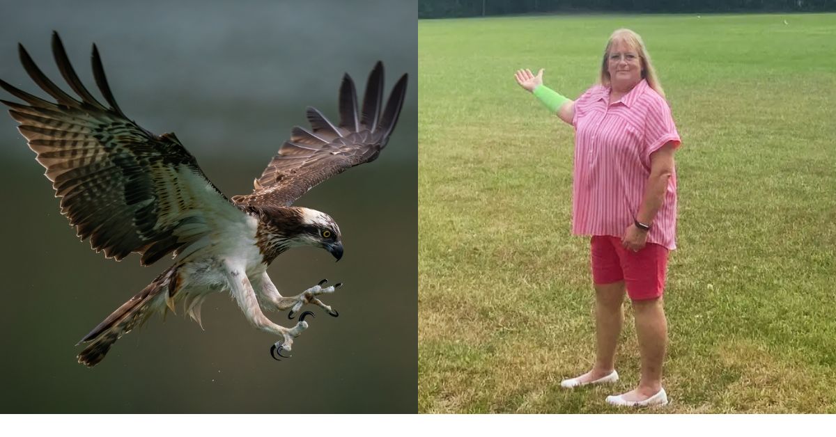 A woman was attacked by a hawk and a snake at the same time