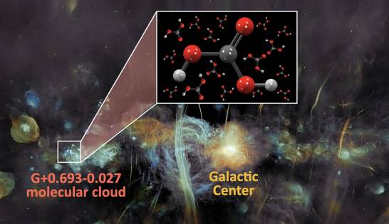 First detection of an interstellar molecule with three oxygen atoms