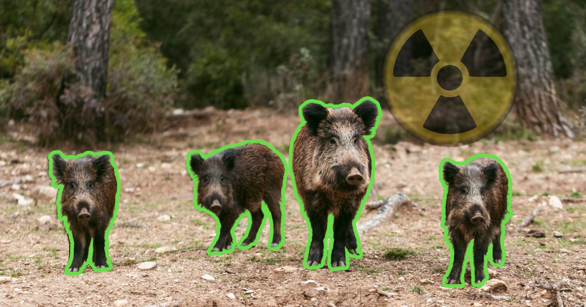 Confirm the causes of its contamination in Europe