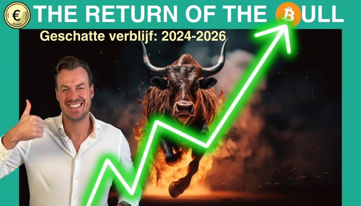 Five reasons why the bull market began