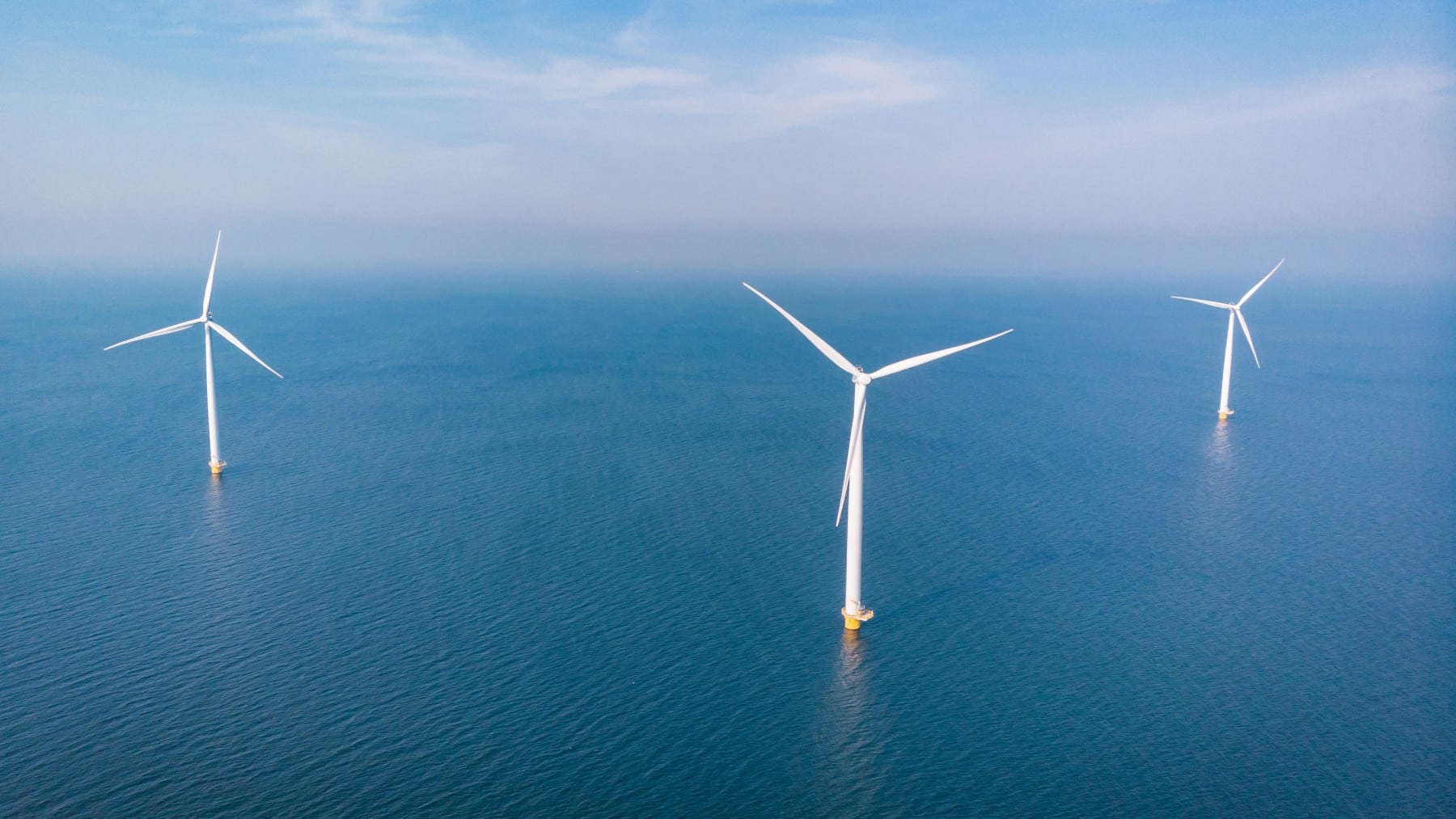 Europe Bans Wind Energy After Shocking New Discovery Emerges Suddenly