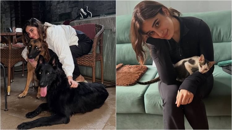 Rasha Thadani Rescues Three Abandoned Pets: Elsa, Azaad, Billu; Urges ...