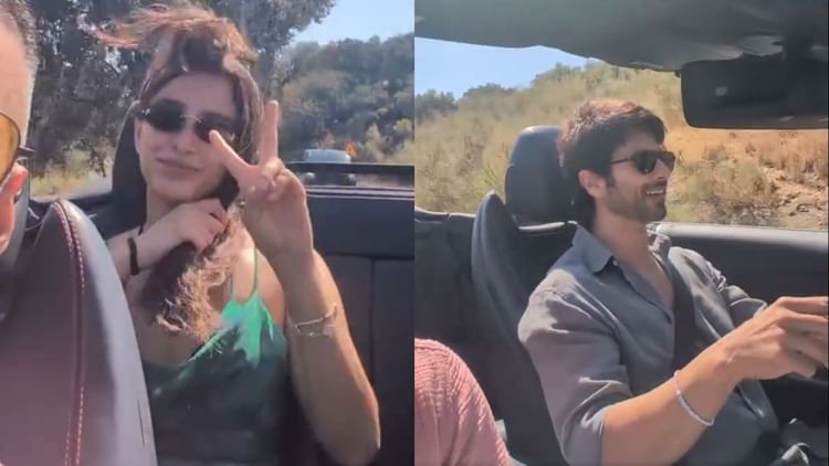 Shahid Kapoor Tripti Dimri Spain Road Trip Video Goes Viral