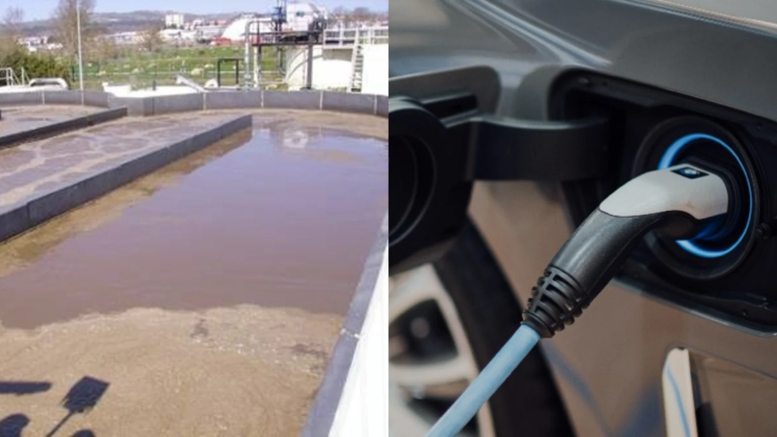 Poop to Power: Human Waste Could Boost Electric Vehicle Batteries